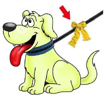 gele-hond - Hondenclub De Roedel